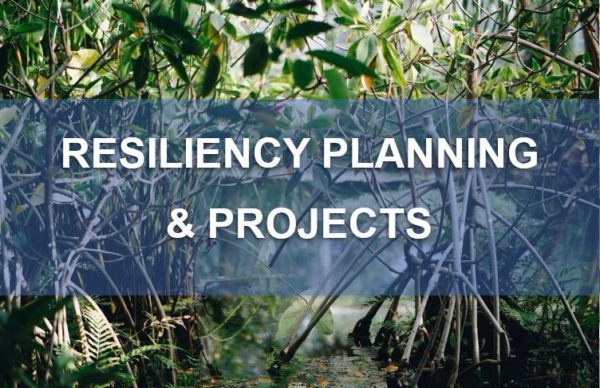 Resiliency Planning & Projects - SFRPC